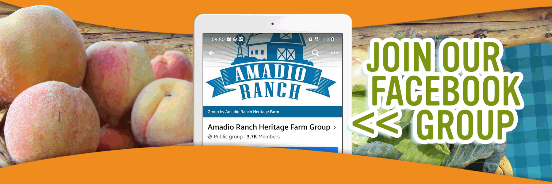 Amadio Ranch | Fresh Grown Produce